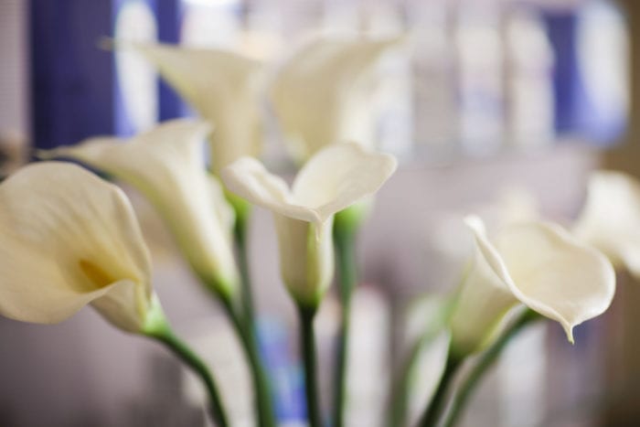 Dentists in Alpharetta GA | Esthetic Dental Solutions